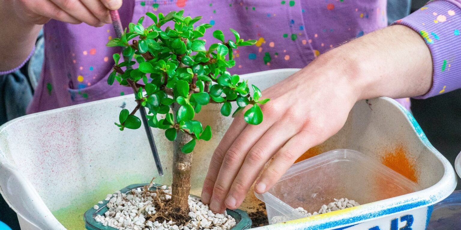 Bonsai Workshop at The Greats of Craft - LIC - Long Island City Partnership